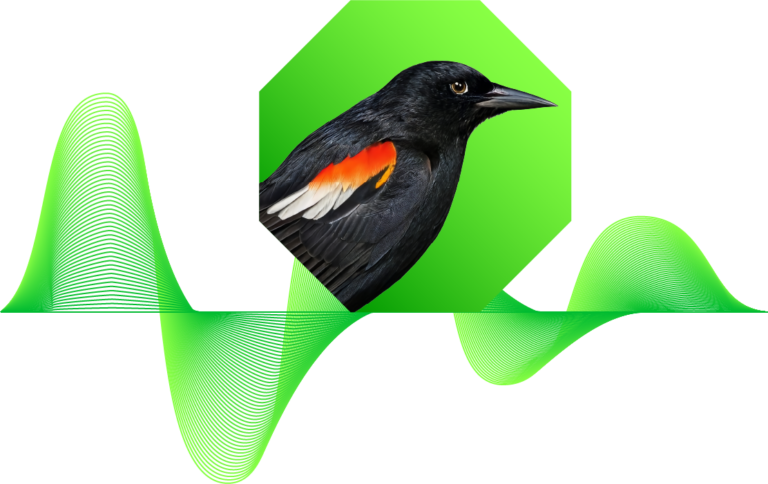Bird Gard – The future of Bird Control, today.